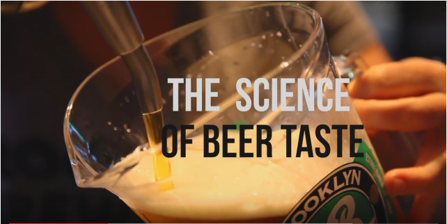 Visiting Brooklyn Brewery To Discover The Science of Beer Taste